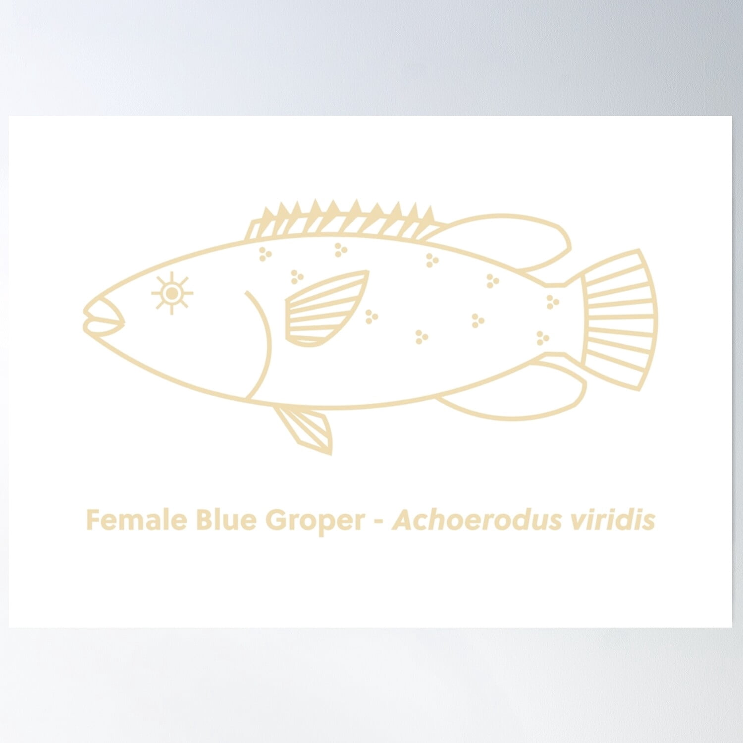 369 Prints Adorable Female Blue Groper In Vanilla And White- No Framed ...