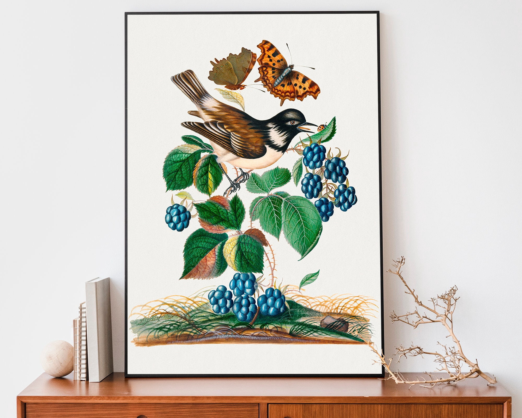 369 Prints vintage Wildlife Poster, Starling Bird And Butterfly ...