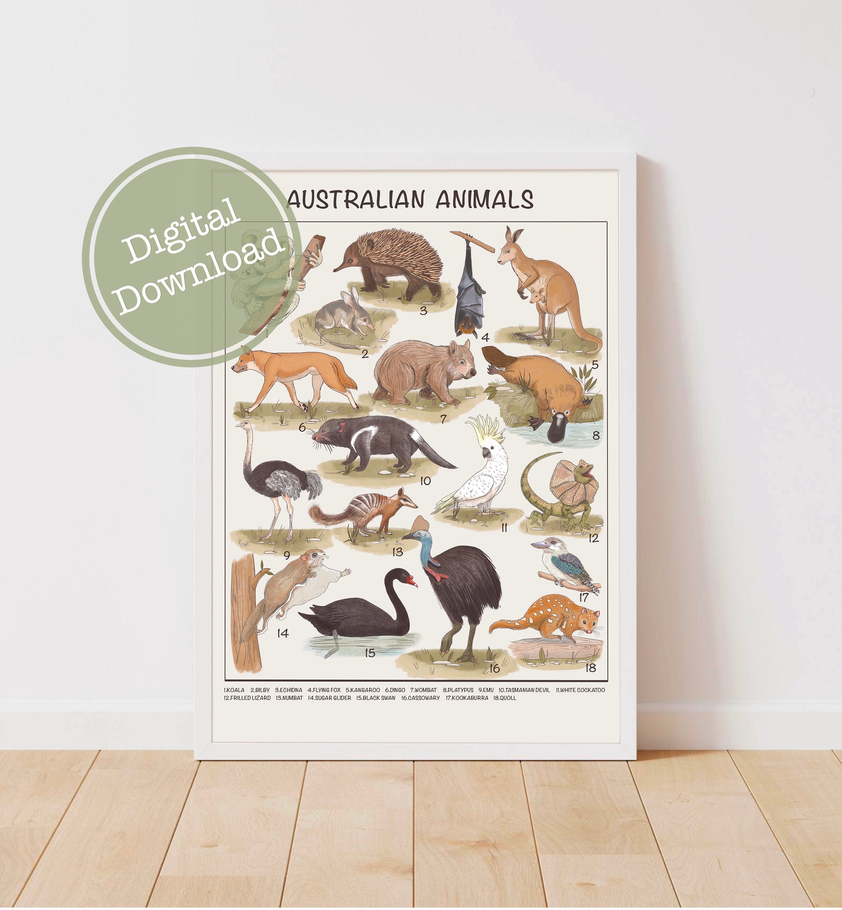 369 Prints australian Animals Educational Poster, Homeschool Montessori ...