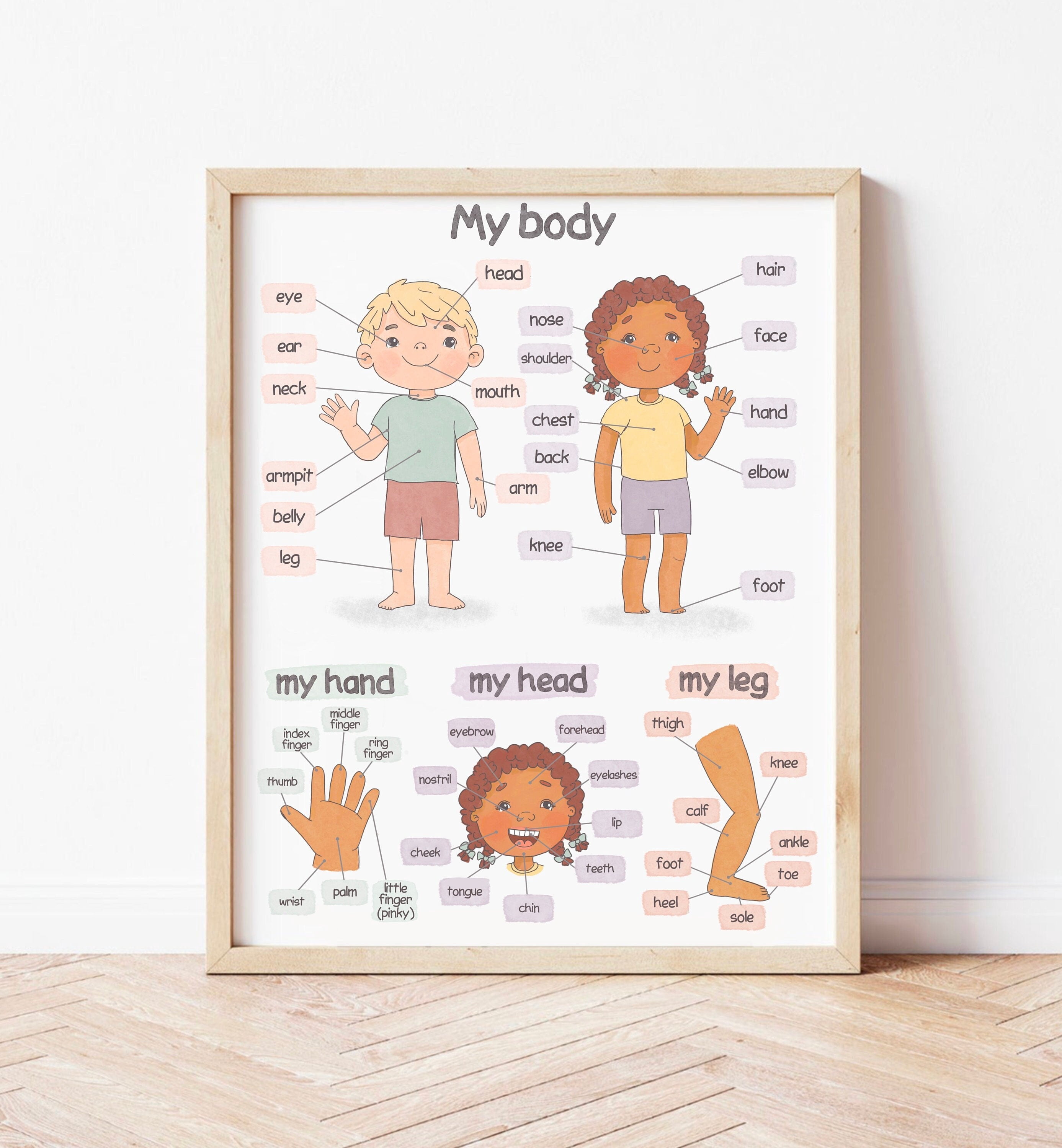 369 Prints body Parts Poster Montessori Homeschool Educational Posters ...
