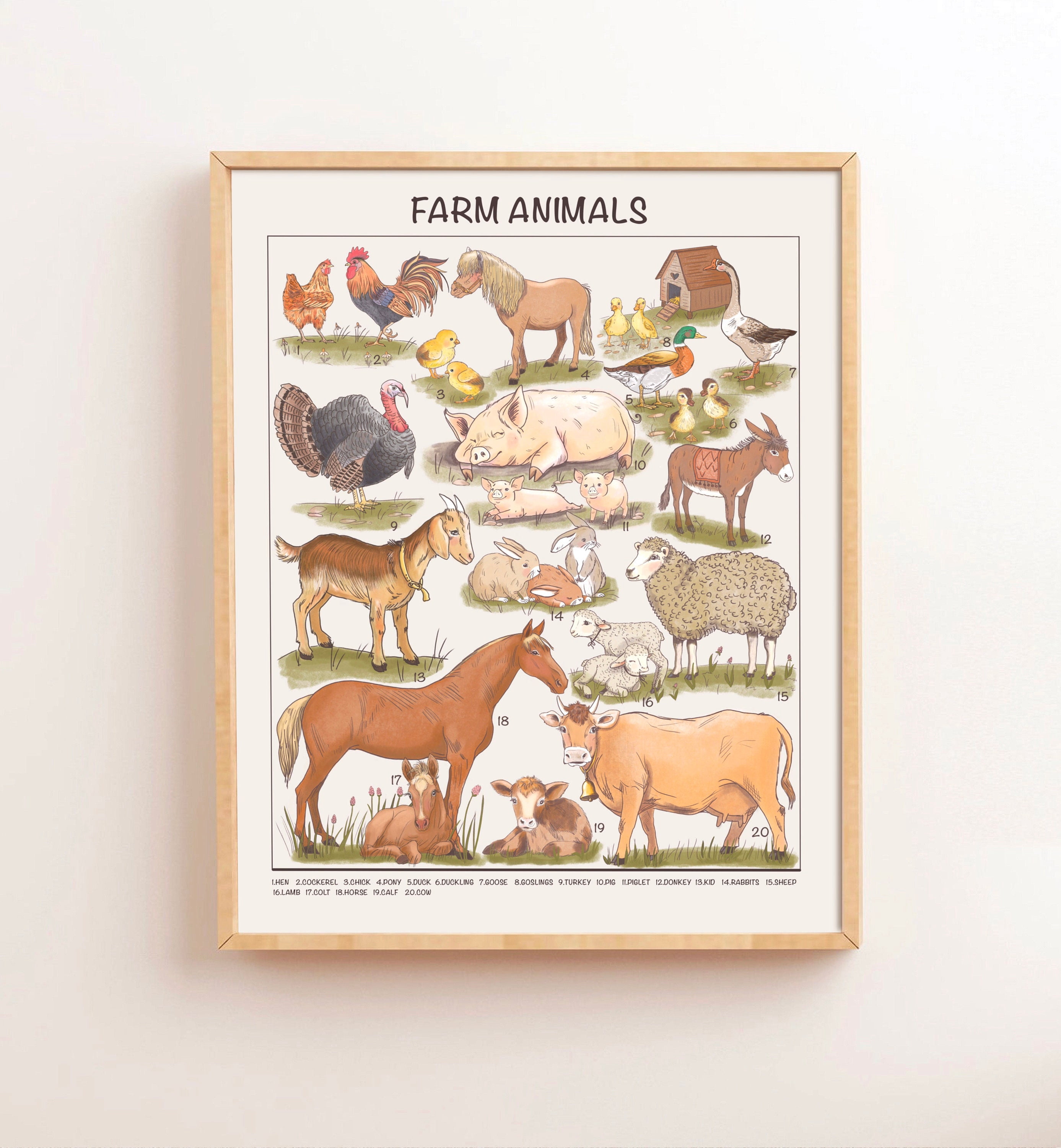 369 Prints farm Animals Educational Posters, Homeschool Classroom ...