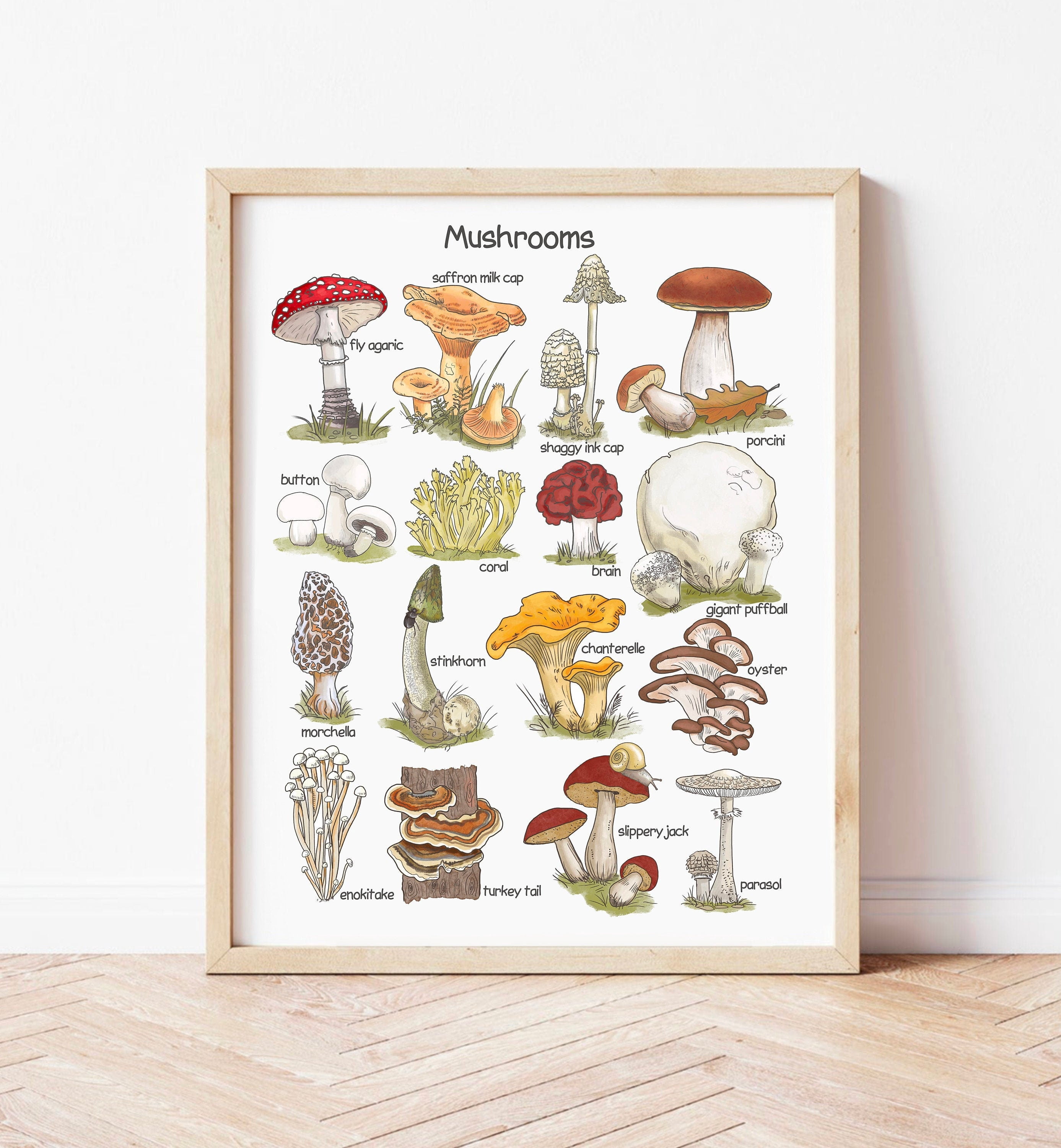 369 Prints mushroom Poster Homeschool Educational Posters For Toddlers ...