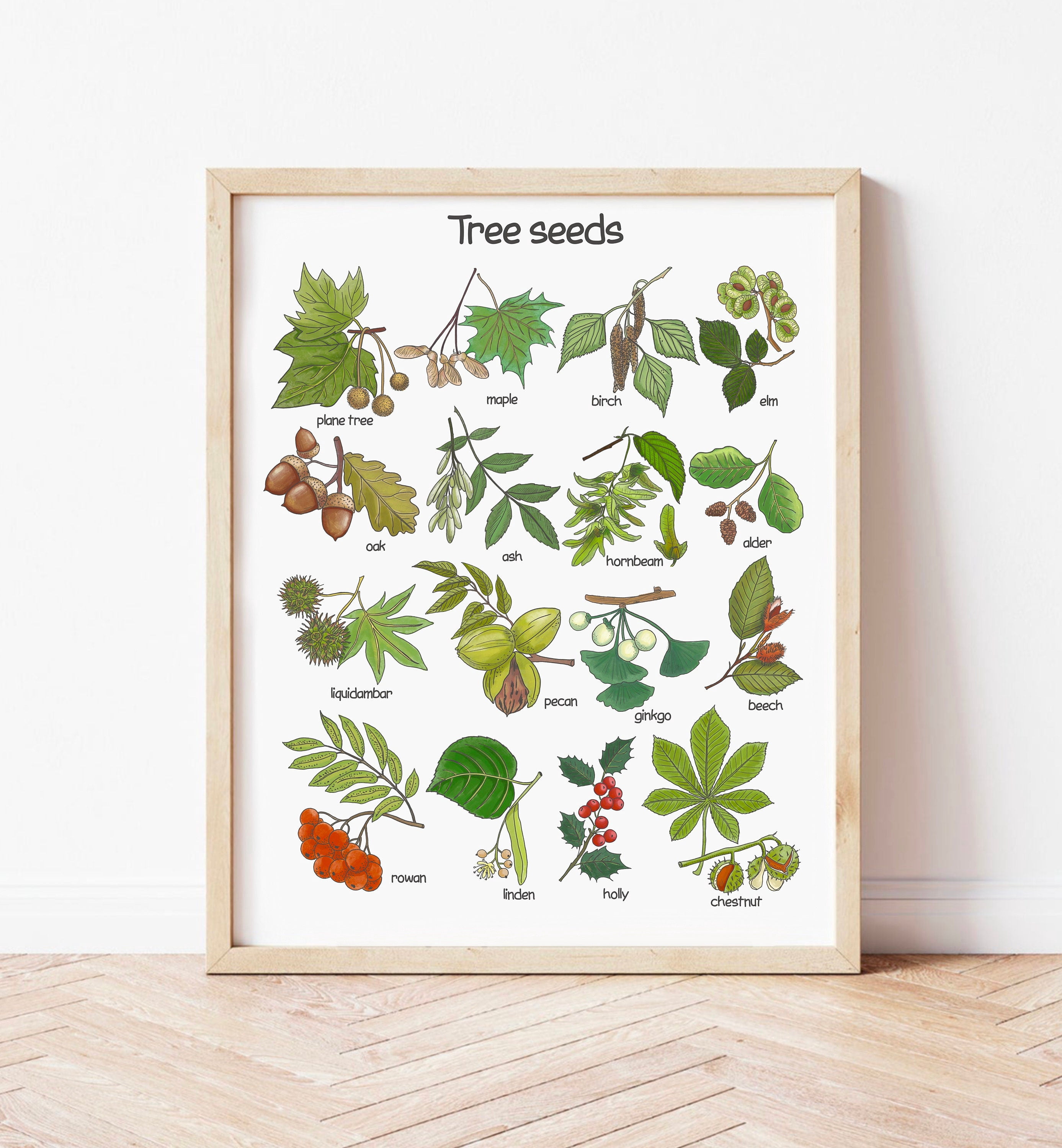 369 Prints tree Seeds Poster Homeschool Educational Posters Montessori ...
