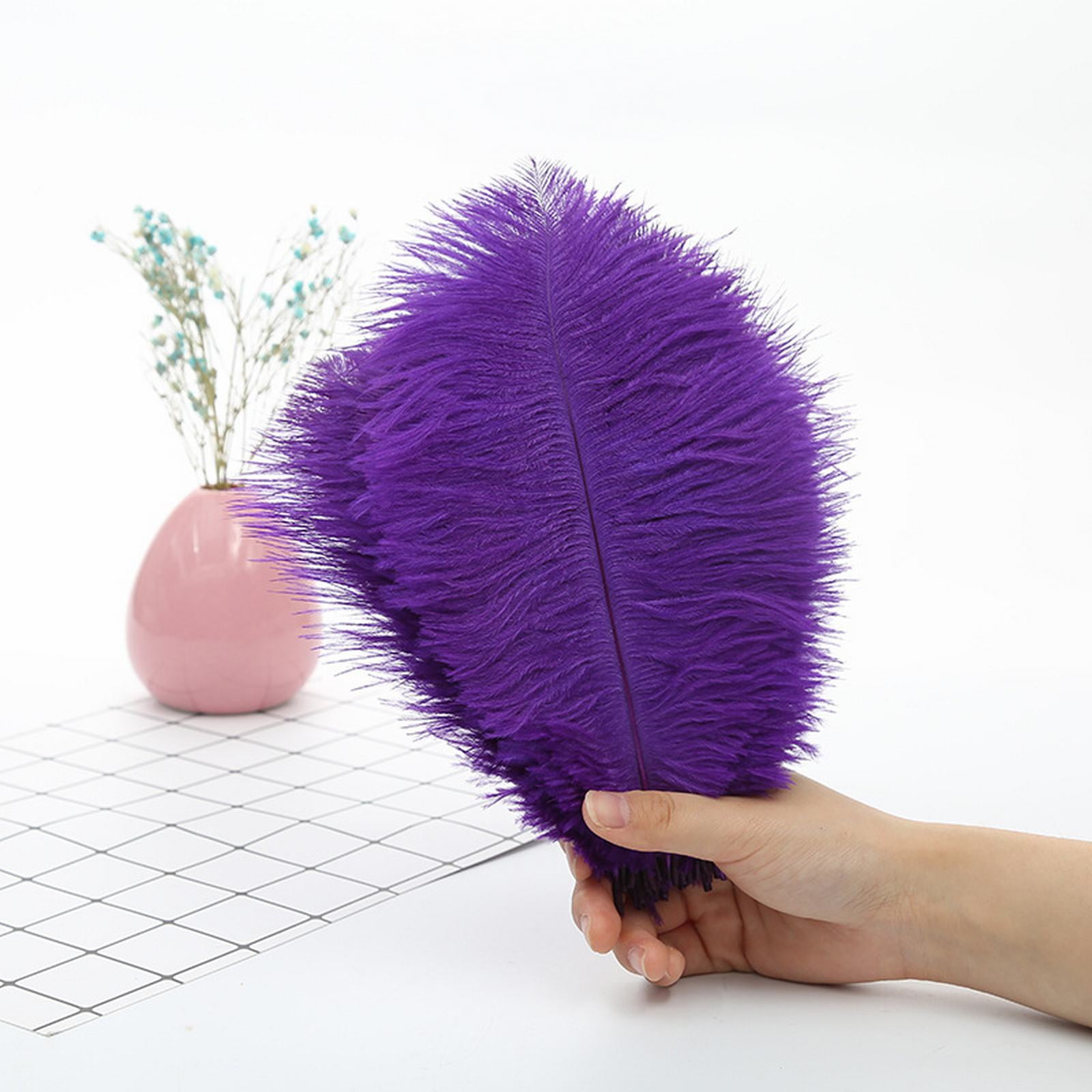 36Pc Feather Clearance! Nomeni Feather 23Cm or So Stage Props Feather ...