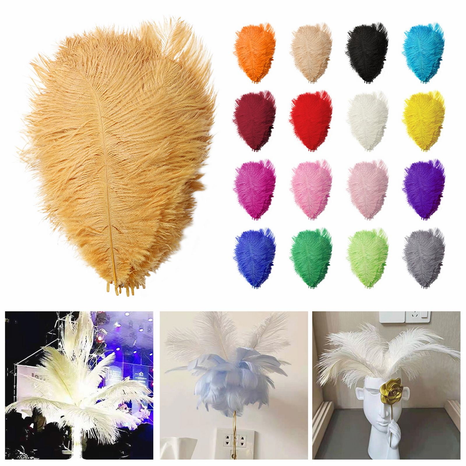 36Pc Feather Clearance! Nomeni Feather 23Cm or So Stage Props Feather ...