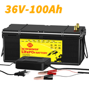 6 Volt RV Batteries in 6 Volt Batteries - Walmart.com