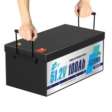 Interstate 6 Volt Golf Cart Battery