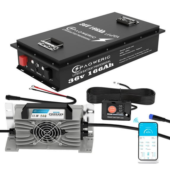 36V 166Ah LiFePO4 Lithium Golf Cart Battery with Charger, Built-in ...