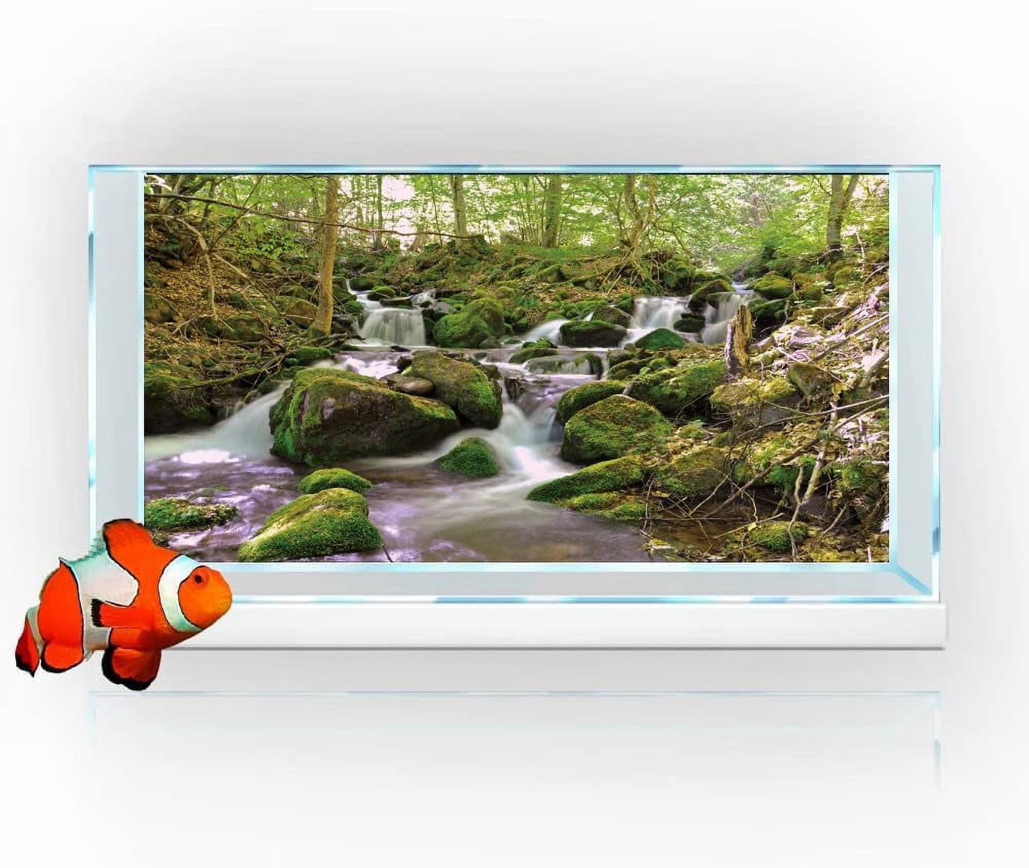 36X20IN Tropical Forest Waterfall Terrarium Background, Natural ...