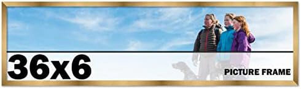 36X6 Frame Bronze Picture Frame - Modern Photo Frame Includes UV Guard ...