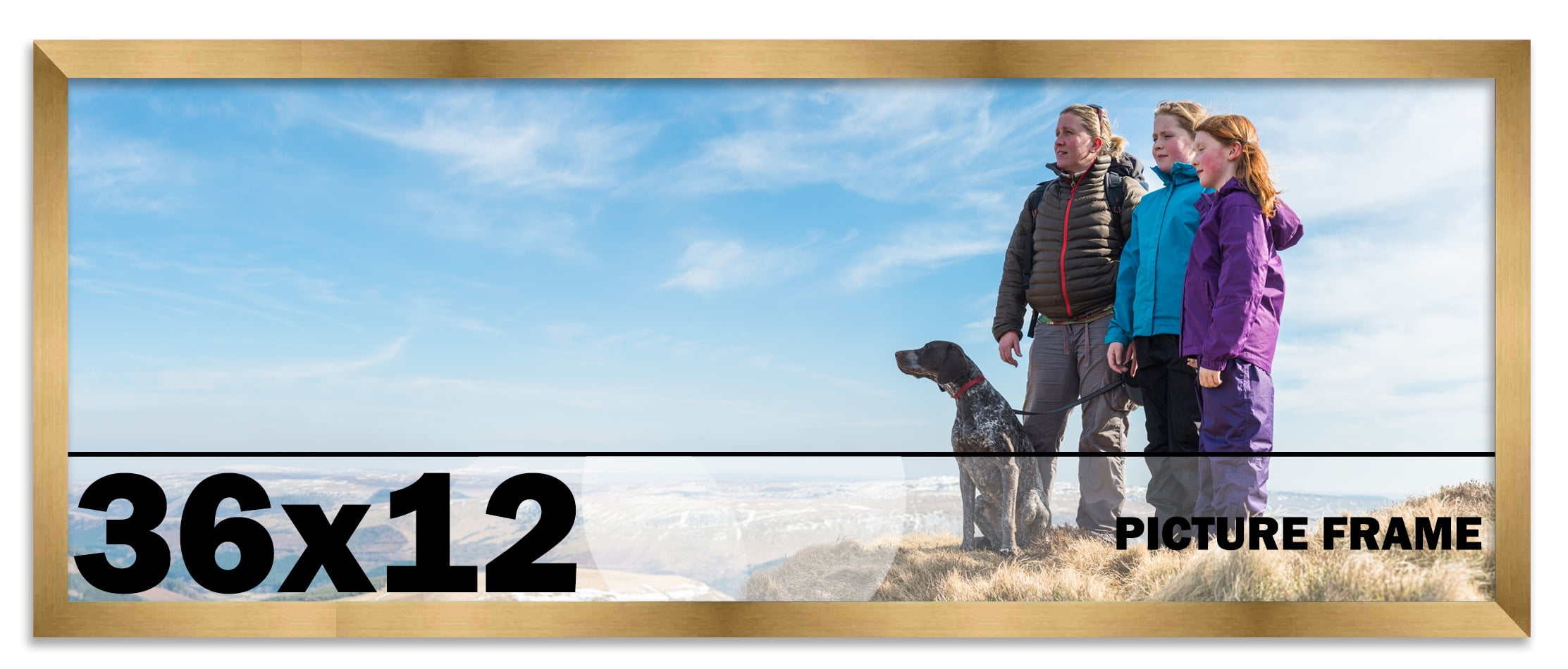 36x12 Frame Gold Bronze Modern Solid Wood Picture Frame | 0.75 Inch ...