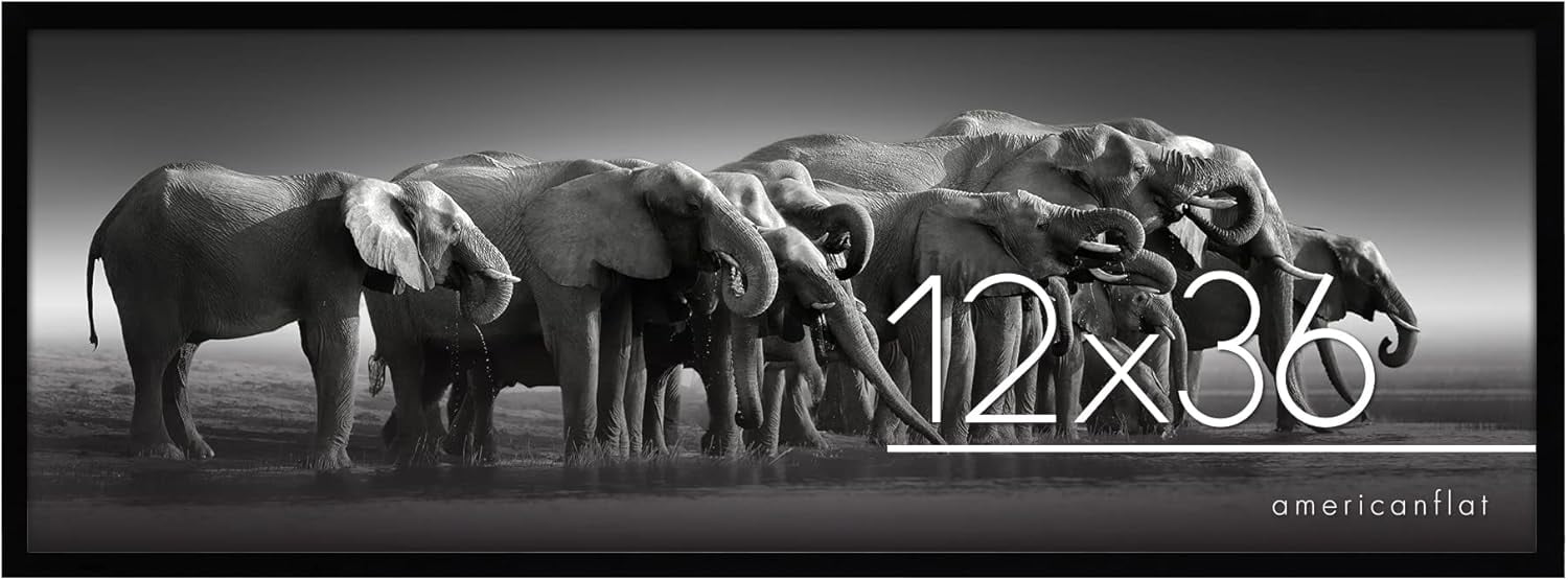 36x12 Picture Frame with Polished Plexiglass - Gallery Style Frame with ...