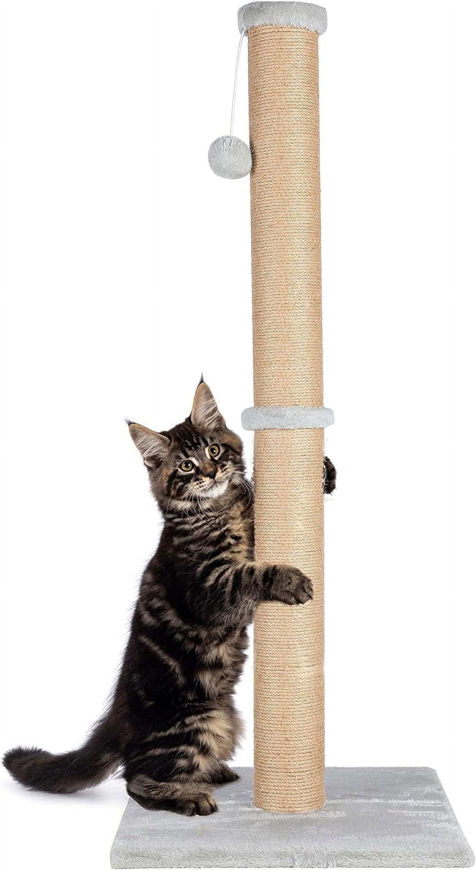 37'' Cat Scratching Post, Natural Sisal Rope Scratcher with Dangling ...