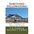 37 Days of Peril - Walmart.com