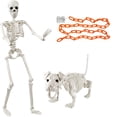 37-inch Halloween skeleton decoration (includes dog skeleton), 3-foot ...