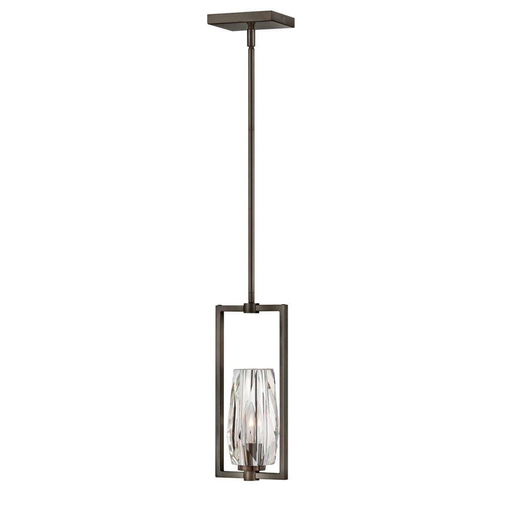 38257BX-Hinkley Lighting-Ana - 1 Light Small Pendant In Modern and Glam ...