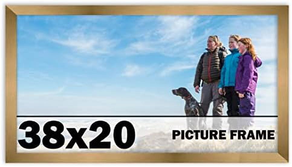38X20 Frame Bronze Picture Frame - Modern Photo Frame Includes UV Guard ...