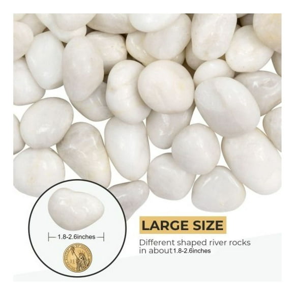 White Landscape Rocks