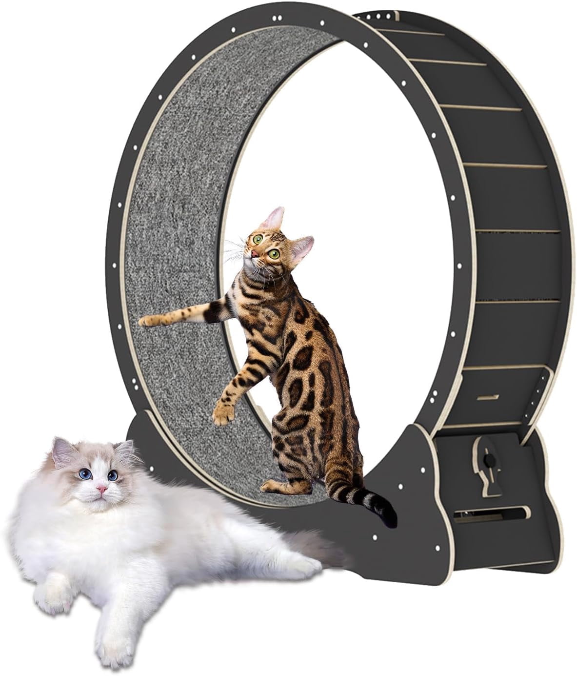 39.3" Large Cat Wheel Exerciser for Indoor Cats, Cat Exercise Running ...