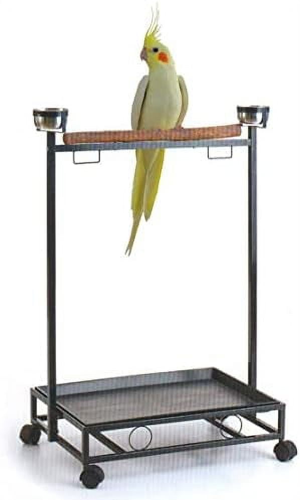 39" Large Wrought Iron Parrot Bird Cockatoo Cockatiel Play Stand Play ...