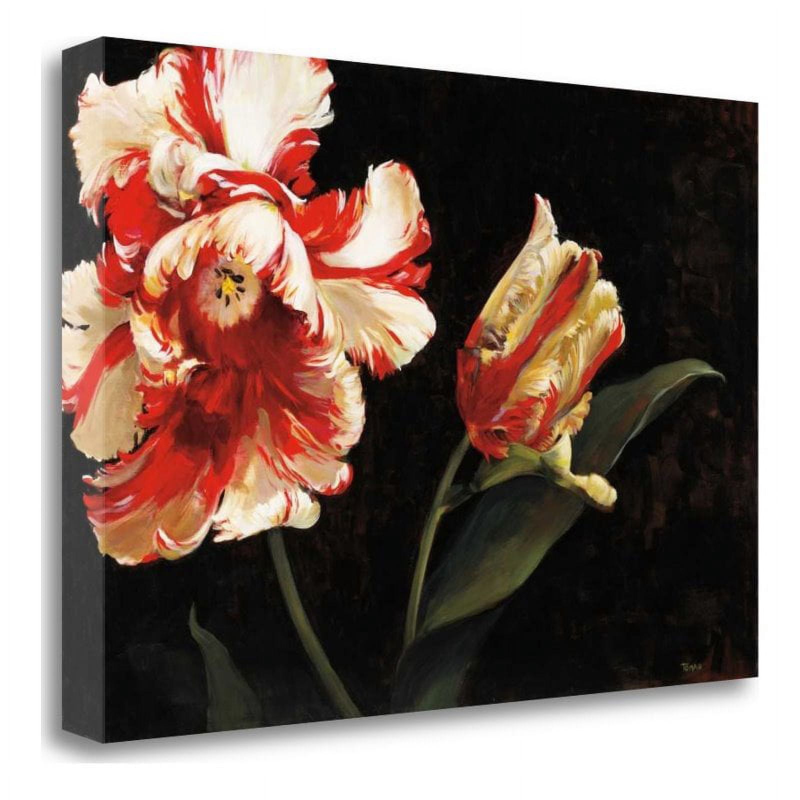 39" x 26" Resplendent by Jennie Tomao - Print On Canvas Fabric Multi ...