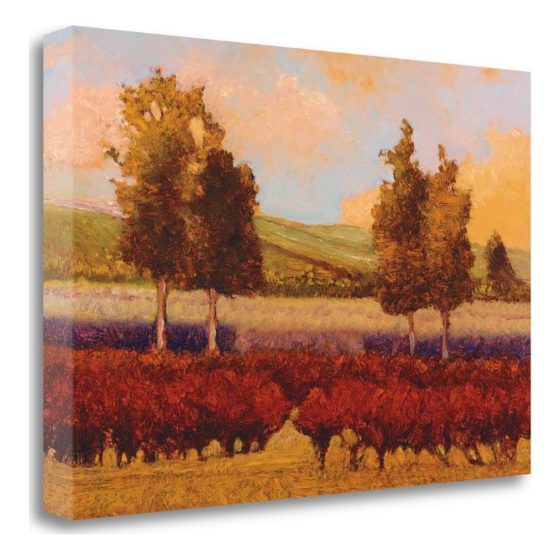 39" x 26" St. Pierre by Kent Lovelace - Print On Canvas Fabric Multi ...