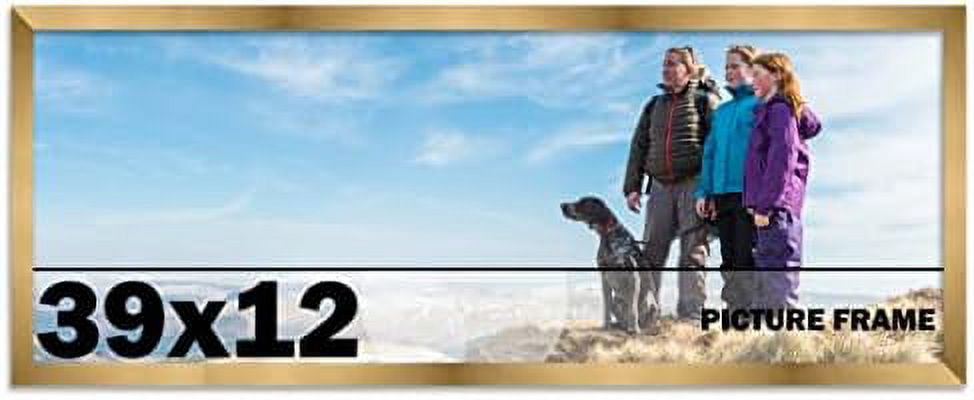 39X12 Frame Bronze Picture Frame - Modern Photo Frame Includes UV Guard ...