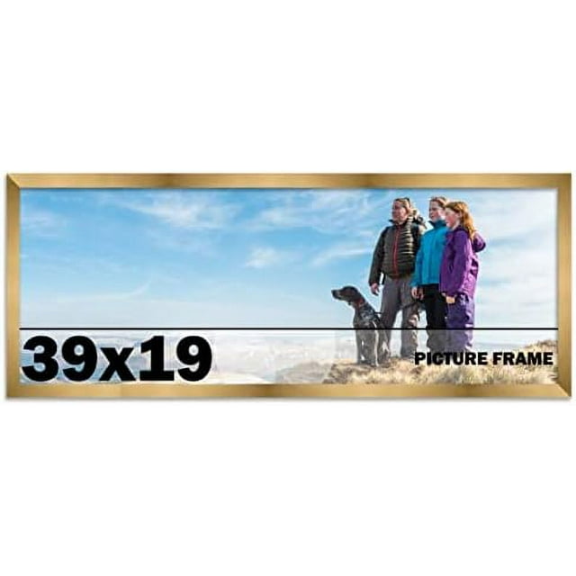 39X19 Frame Bronze Picture Frame - Modern Photo Frame Includes UV Guard ...
