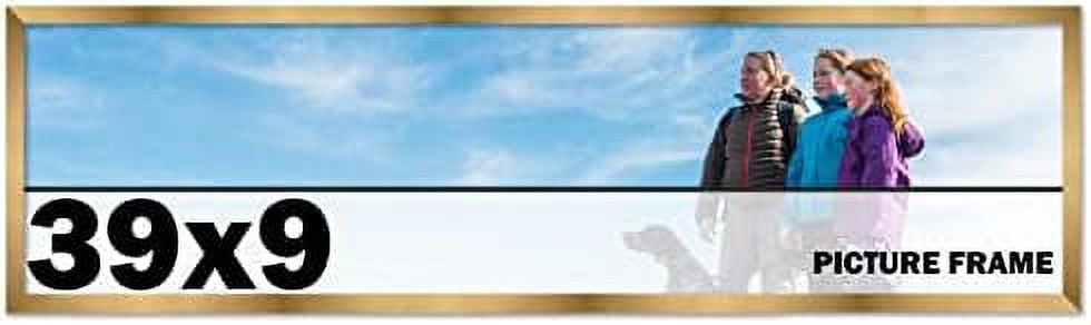 39X9 Frame Bronze Picture Frame - Modern Photo Frame Includes UV Guard ...