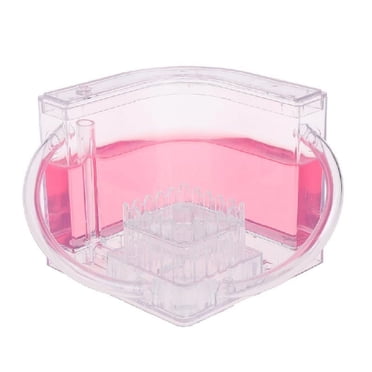 Uncle Miltons Classic Ant Farm for Classroom Learning - Walmart ...