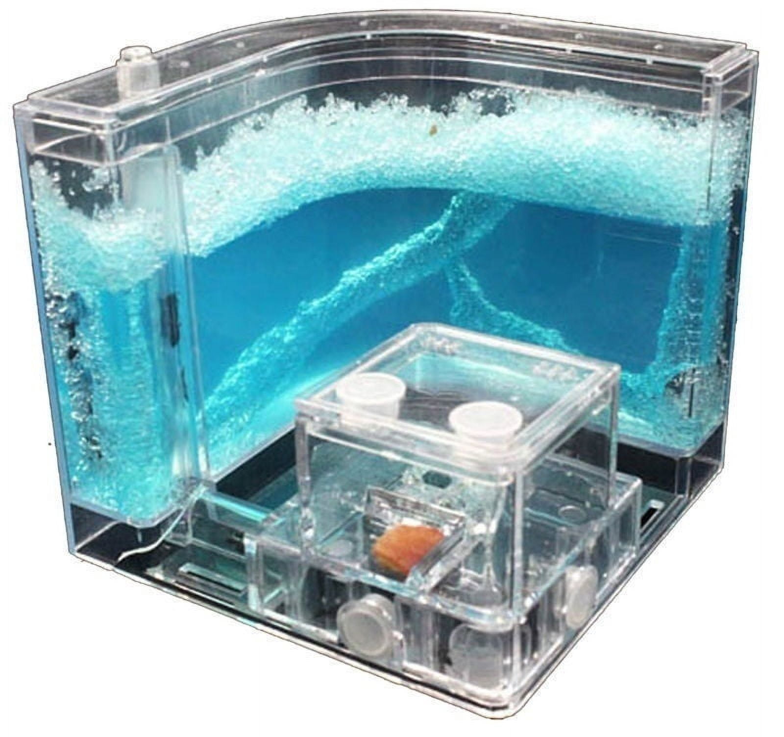 3D Ant Farm Gel Maze Nest Ant Novelty System Ant Habitat Educational ...