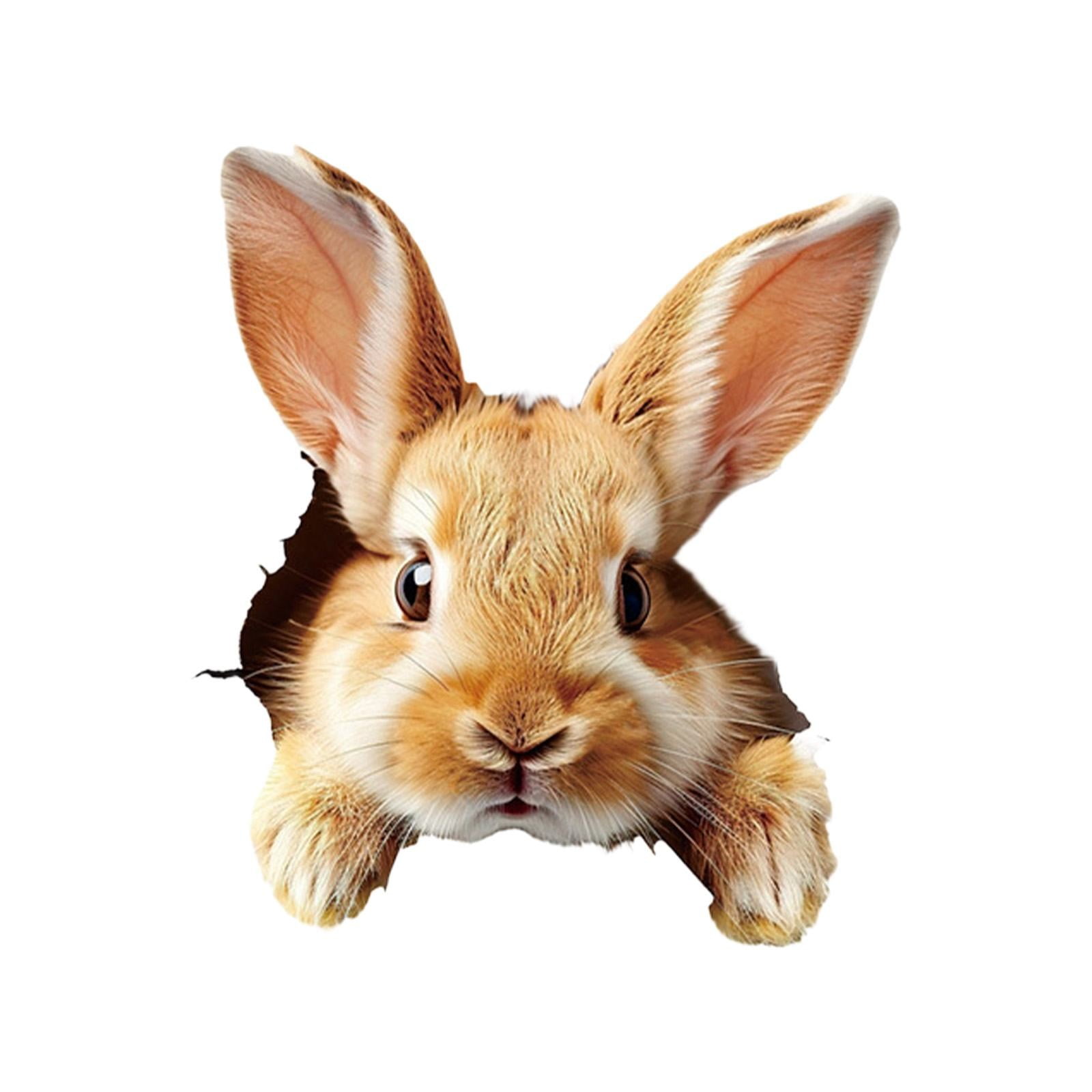 3D Bunny Break The Wall Stickers - Cute Bunny Wall Art Door Sticker ...