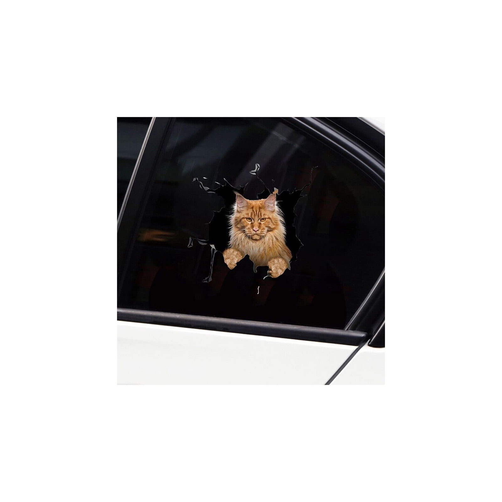 3D Cat Car Vinyl Sticker Vivid Colors, Heat & Sunlight Resistant for ...
