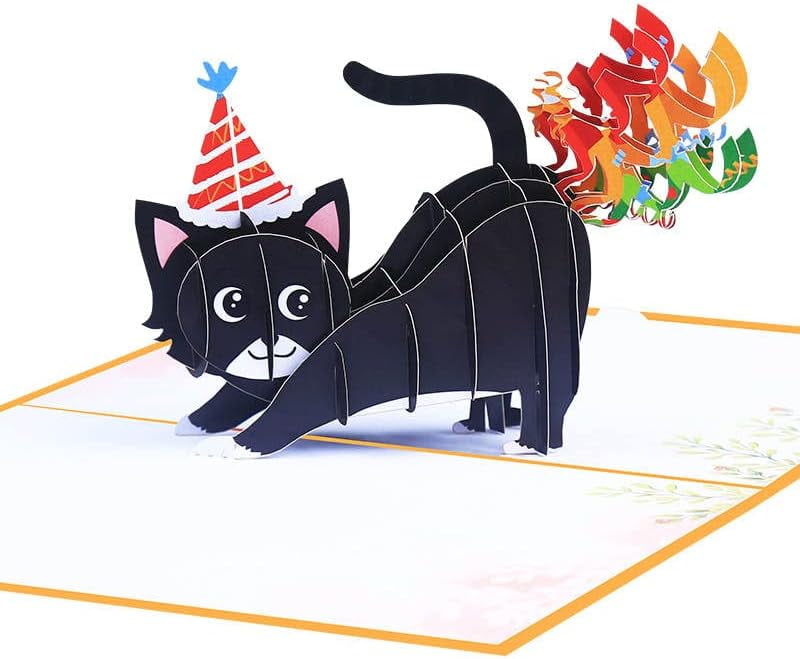 3D Cat Farting Confetti Funny Birthday Card, Pop Up Birthday Card ...