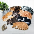3D Cat-shaped Thicken Bedroom Mats Cute Sleeping Animals Plush Mats for ...