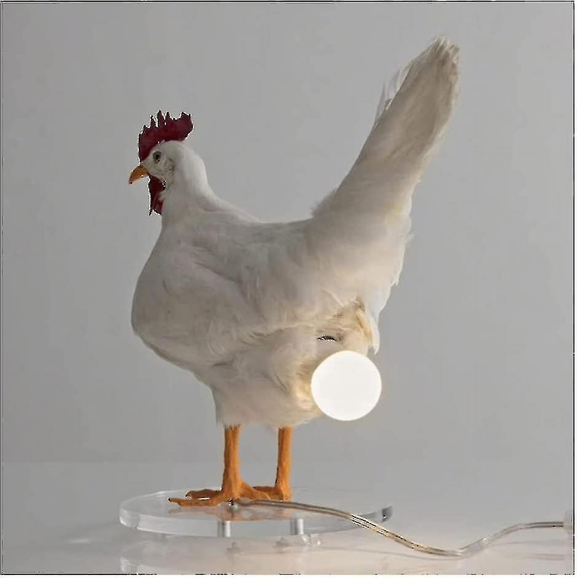 3D Chicken Egg Lamp Rooster Table Lamp - Walmart.com