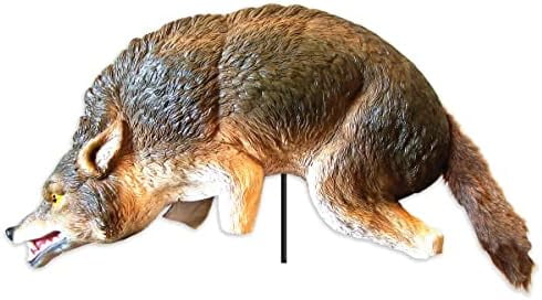 3D Coyote Decoy, Lifelike Predator Replica, Coyote Decoy with Moving ...