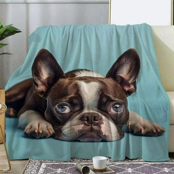 3D Dachshund Print Flannel Blanket - Soft, Lightweight & Machine ...