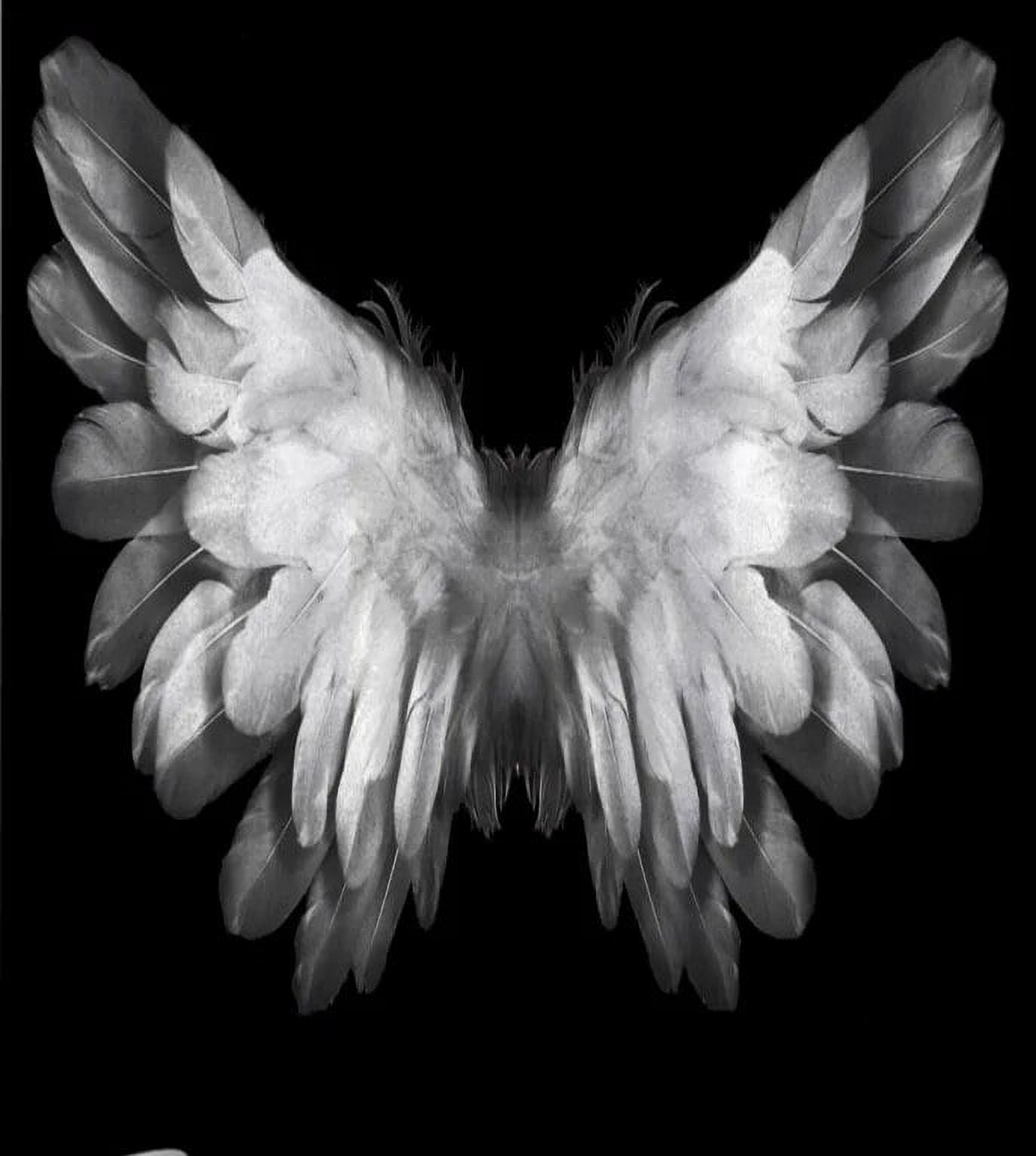 3D Digital Printing Cheap Modern Angel Wings Black and White Shading 2 ...