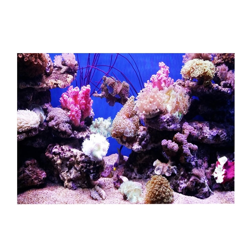 3D Effect Sticky Coral Ocean World Poster Aquarium Fish Tank Background ...
