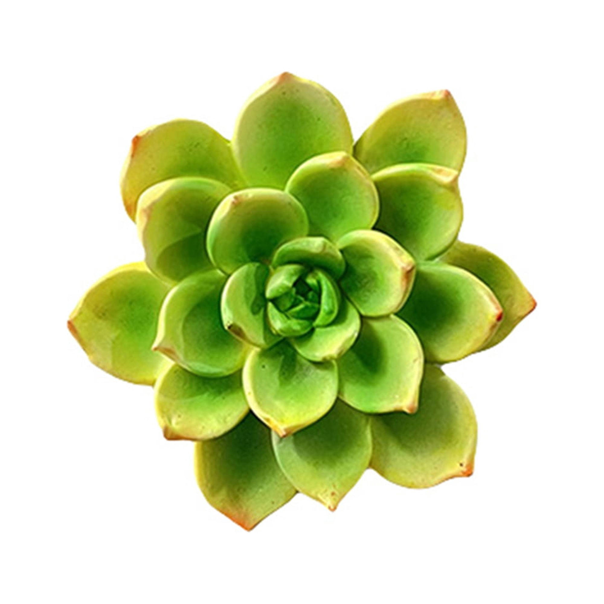 3D Flower Refrigerator Magnets Cute Bouquet Fridge Magnets Stickers for ...