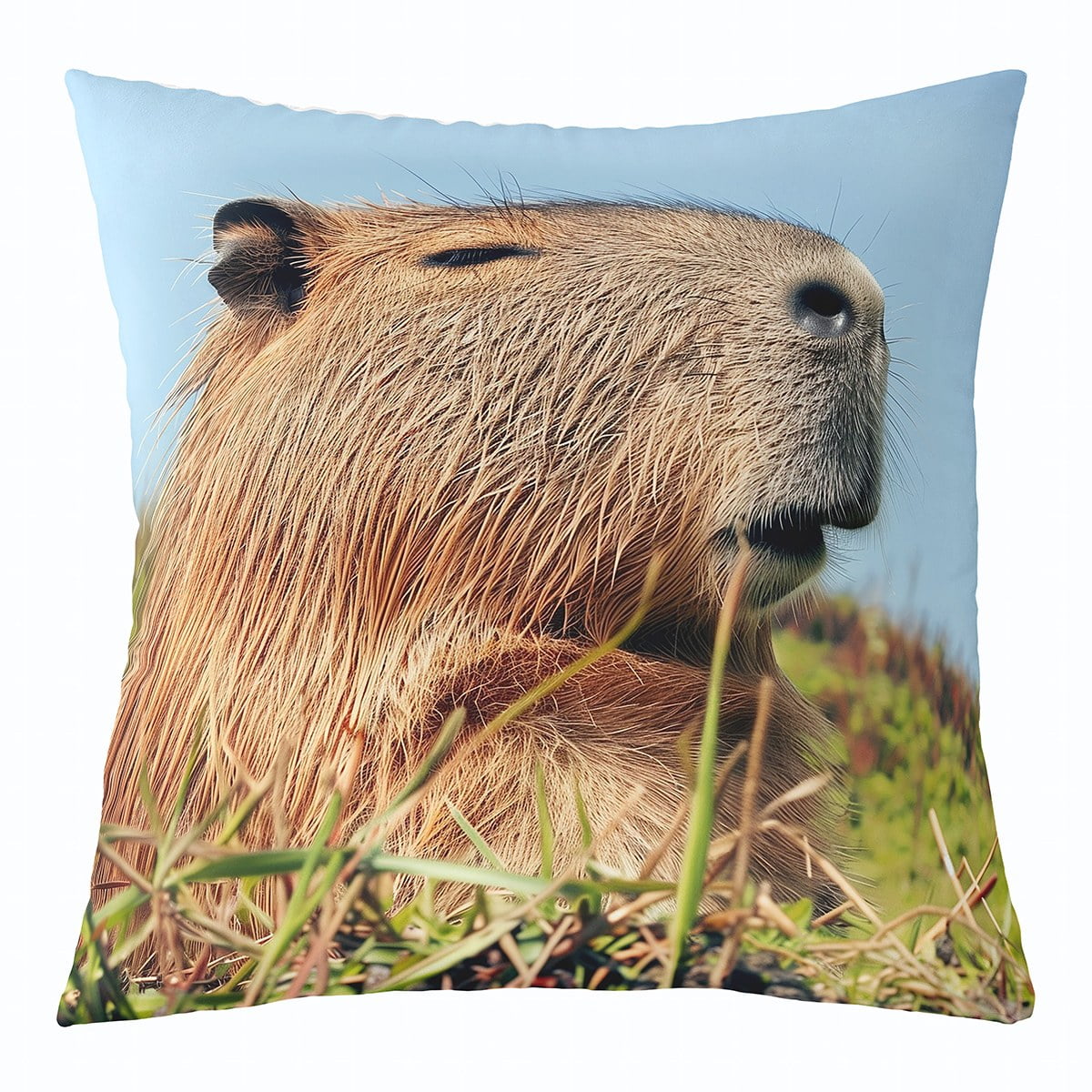 3D Funny Capybara Throw Pillow Cover For Teens Cute Cartoon Capybara ...