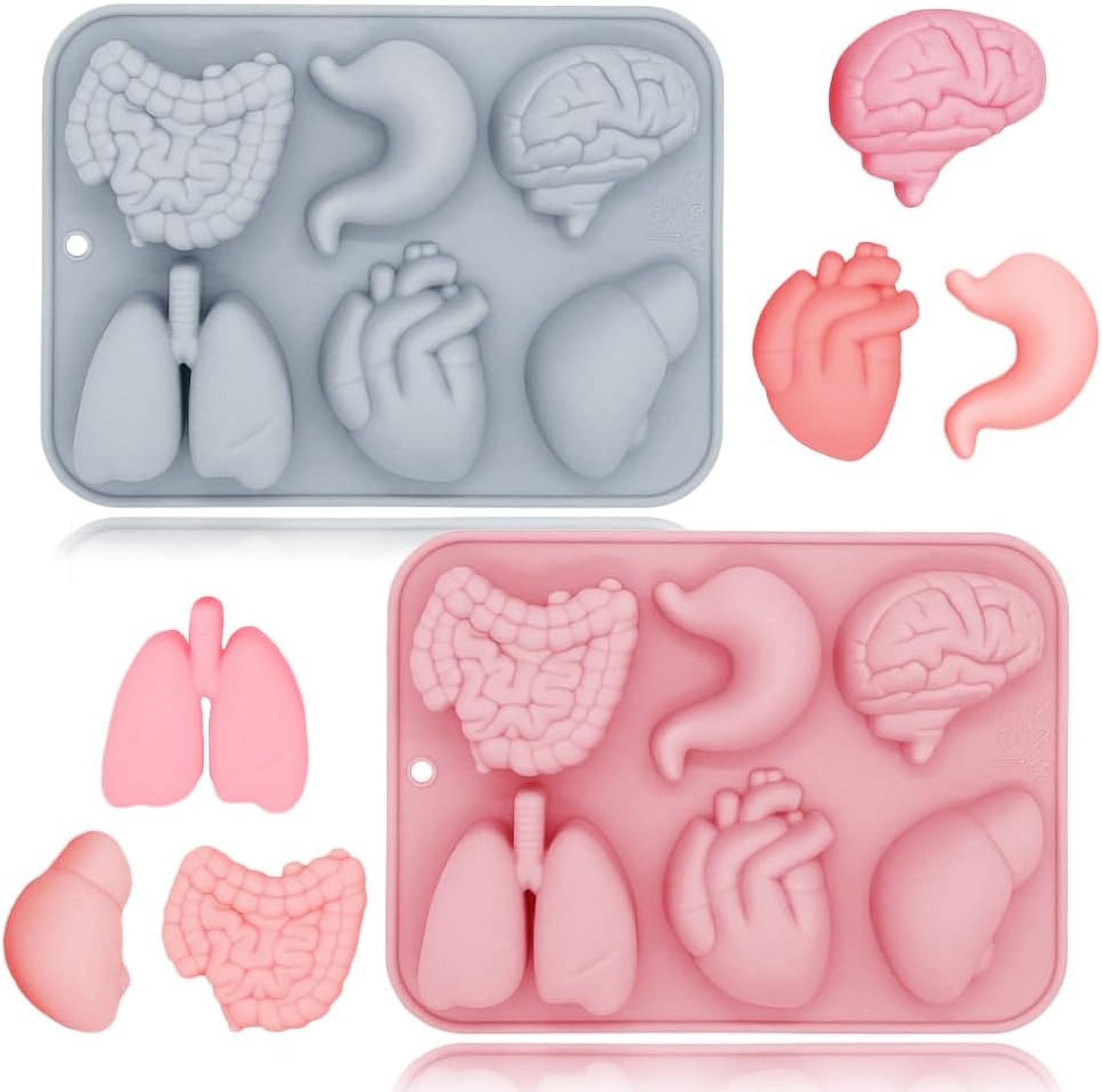 3D Human Organ Silicone Molds, 2 Pack Realistic 6 Cavity Organ Shapes ...
