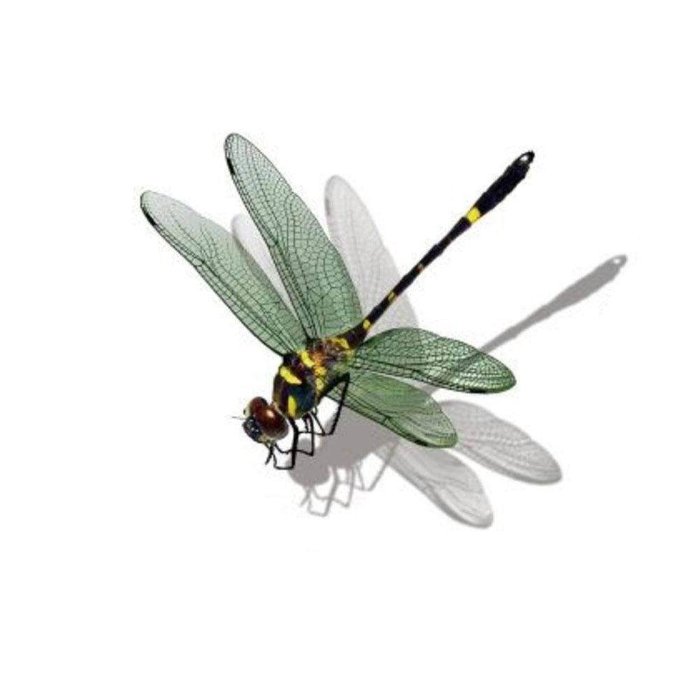 3D Insect Car Stickers Dragon Fly Decals Car Vinyl For Car NEW Decal ...