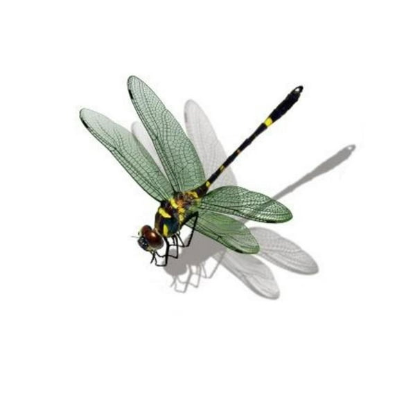 3D Insect Car Vinyl Decal with Realistic Look, Weatherproof and Easy to ...