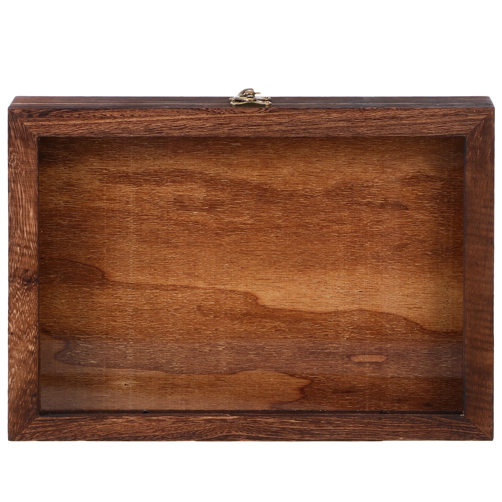 3D Insect Shadow Box Glass Jewelry Display Case Bouquet Storage ...