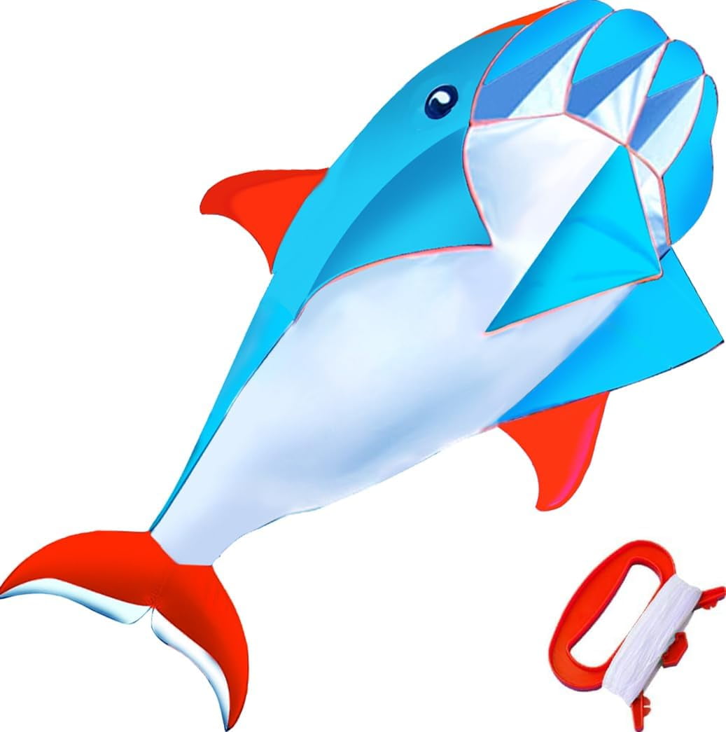 3D Kite for Kids and Adults,Easy to Fly,Excellent Fabric and Structure ...