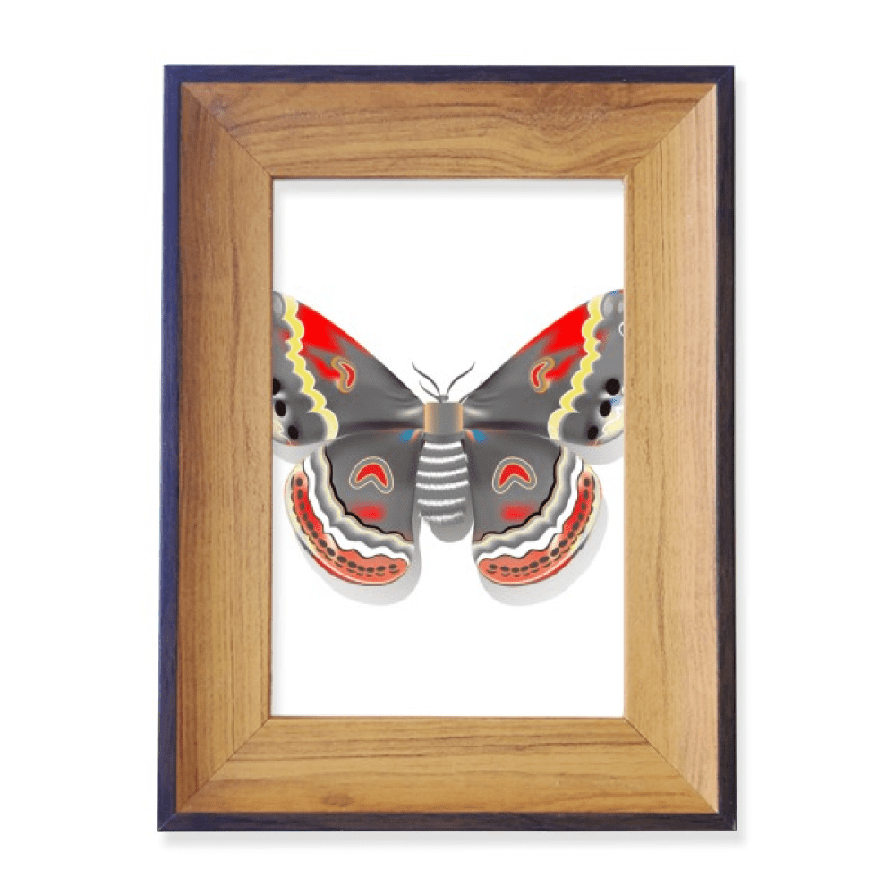 3D Kite in Chinese Style Photo Frame Exhibition Display Art Desktop ...