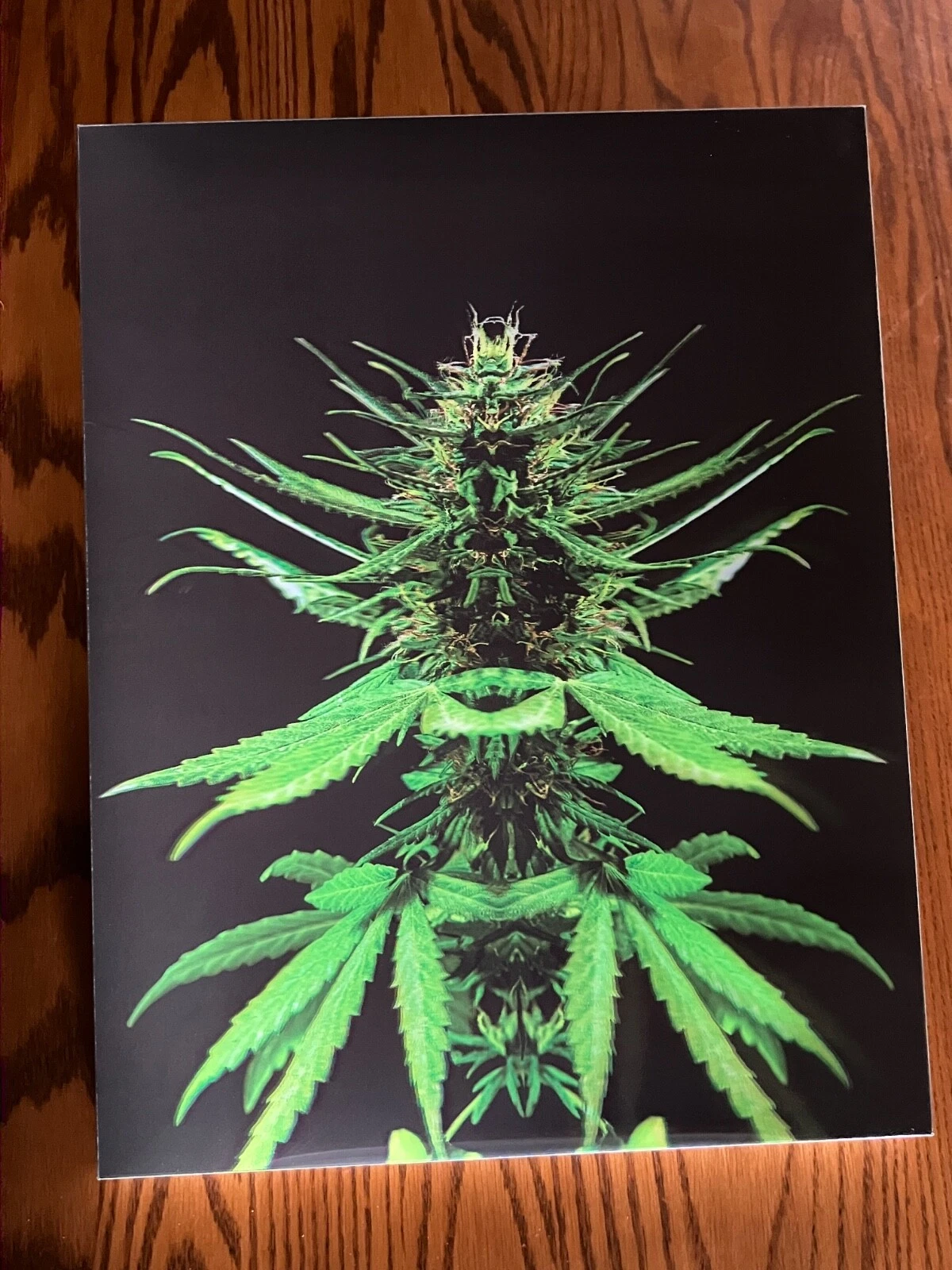 Nu-Venture LLC 3D Lenticular print Ganja Prime 14" x 18” Internally Framed Posters - Walmart.com
