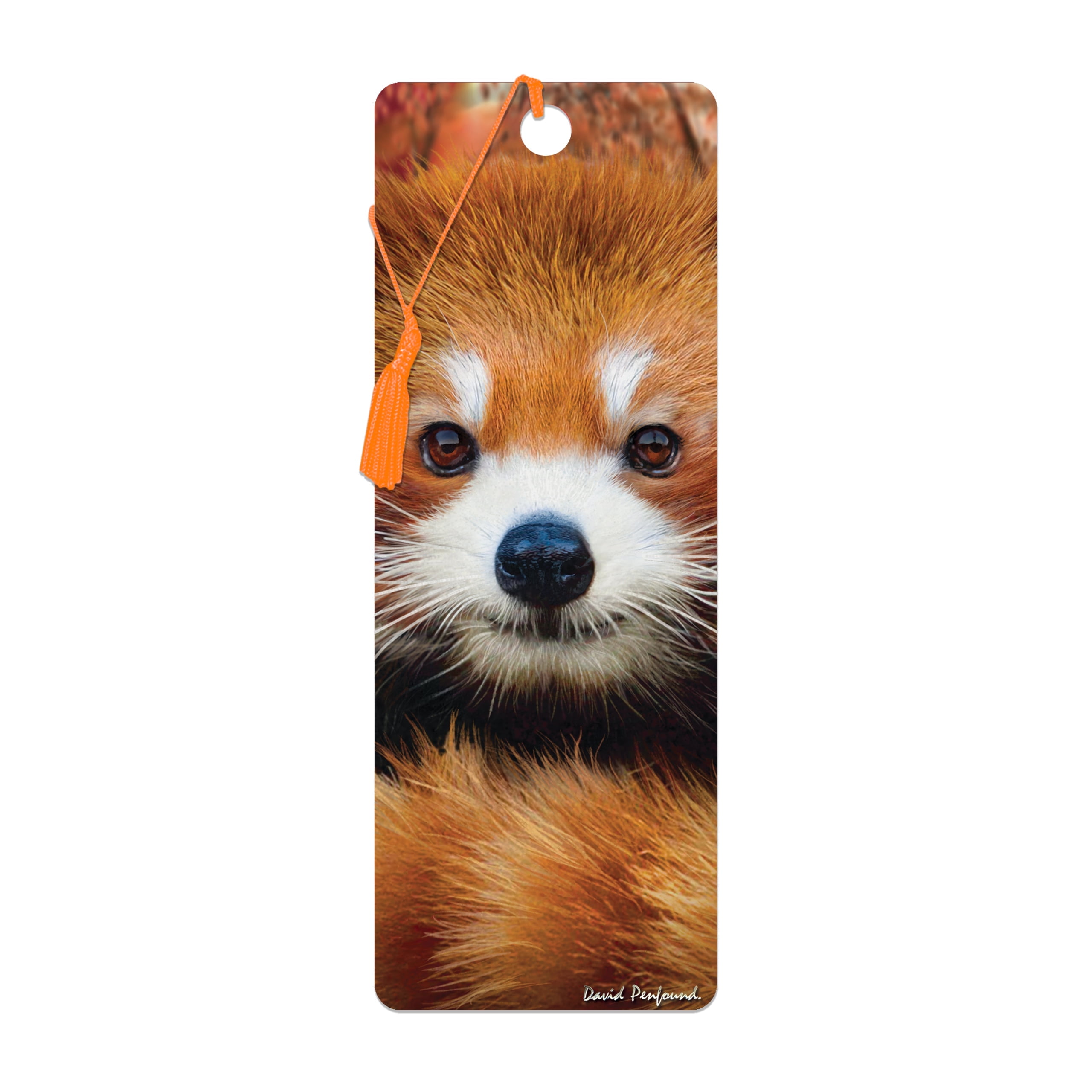 3D Red Panda Bookmark – Baby Red Panda by Deluxebase Lenticular Art by ...